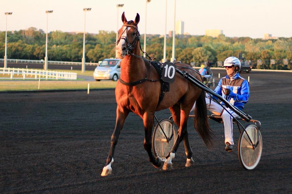 Om oss | Daniel Parling